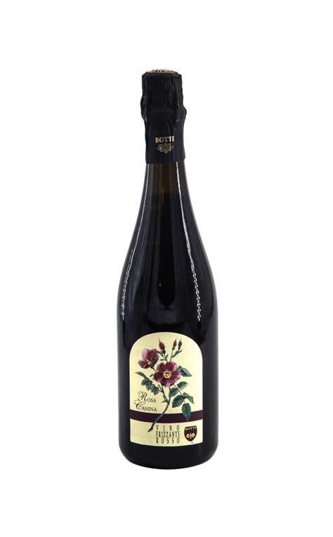 VINO FRIZZANTE ROSSO - Emilian taste