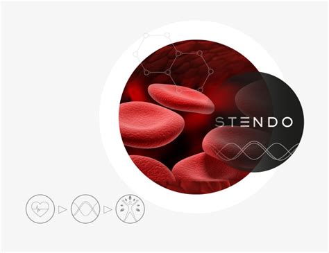 關於我們 – Stendo (Asia) Ltd | 昇道（亞洲）有限公司