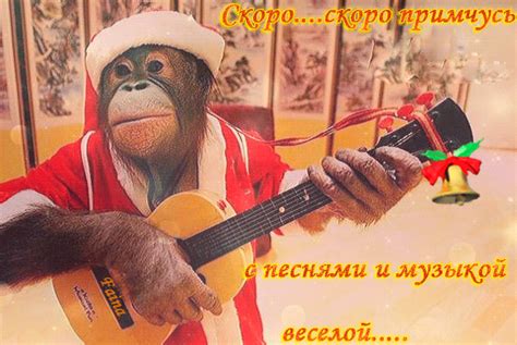 Новогодняя картинка с обезьяной - Новый год - Поздравительные открытки ...