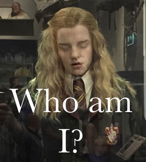 How to Play the Guessing Game, "Who Am I?" - HobbyLark