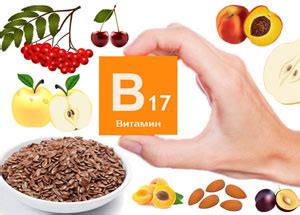 О продуктах, содержащих витамин В17