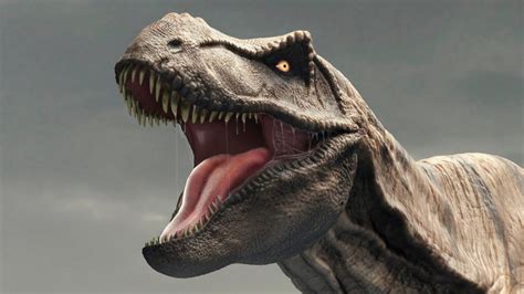 Интересные факты о тираннозавре 🦖 | ЗооБлог