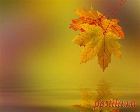 Яндекс.Фотки | ФОТОШКОЛА | Постила