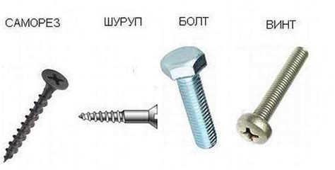 Виды строительных шурупов: особенности, назначение, применение | Статьи ...