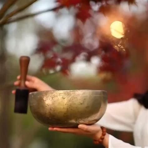 Pin by Svetlana Hamada on Чаши | Meditation music, Meditation videos ...