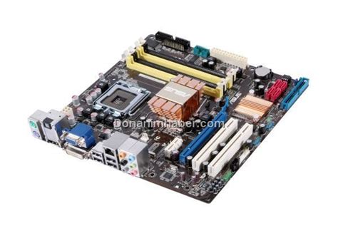 ASUS P5QPL-VM Spotted | TechPowerUp