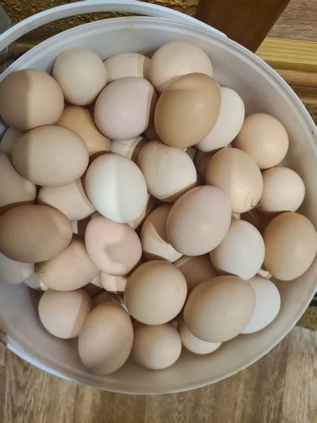 В продаже деревенские яйцо. Десяток 130 рублей | Лавка Фермера. Фермер ...