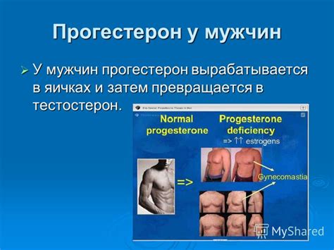 Презентация на тему: "Прогестероновый крем Endau # 5830(Эндау ...