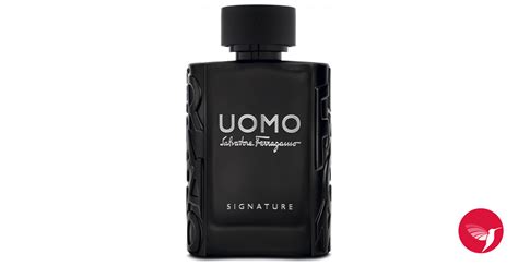 Uomo Salvatore Ferragamo Signature Salvatore Ferragamo Cologne - ein es ...