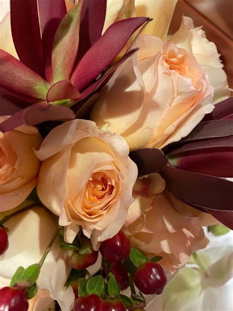 Caramel Antike Garden Rose | Caramel, Rose, Patties