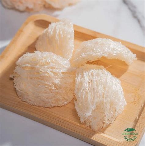 Bird’s Nest – Benefits and Uses