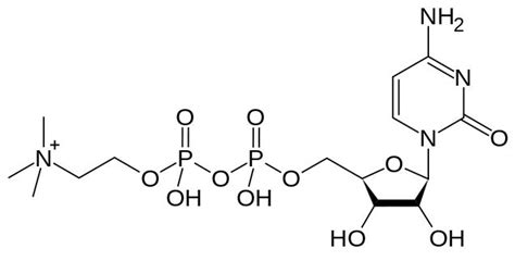 CDP-Choline - Nootropics Expert