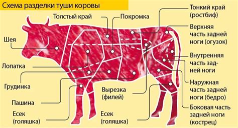 говядина схема разделки туши с названиями: 11 тыс изображений найдено в ...
