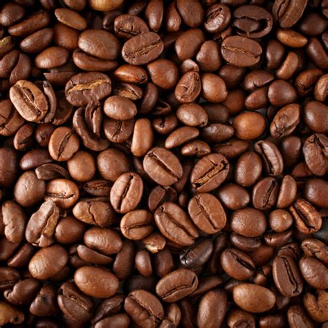 Bio Kaffee Gourmet Samocca – Samocca