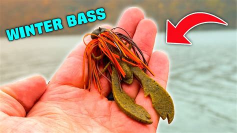 Three PROVEN Baits to Maximize Your Fishing Success! - YouTube