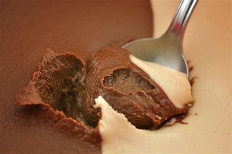 Hazelnut Cream stock image. Image of cream, chocolate - 12921315