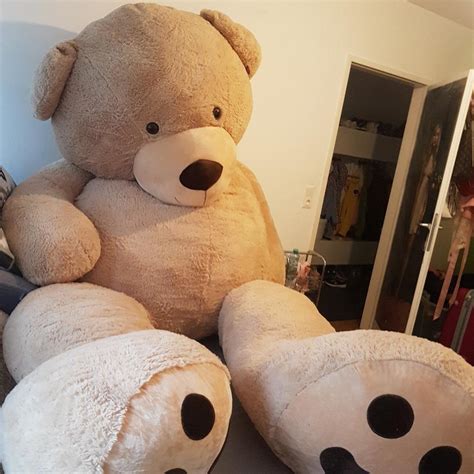 teddybär 3 meter in 5020 Salzburg for €150.00 for sale | Shpock