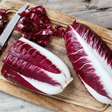 Radicchio - Etsy
