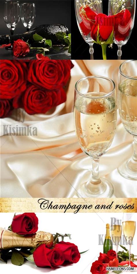 Роза и шампанское (Галина Римская) / Стихи.ру