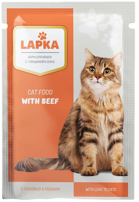 Lapka » Biznes Aziya