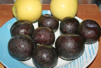 Пирог с маком,сливами и яблоками : Выпечка сладкая