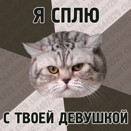 Фото Я сплю с твоей девушкой
