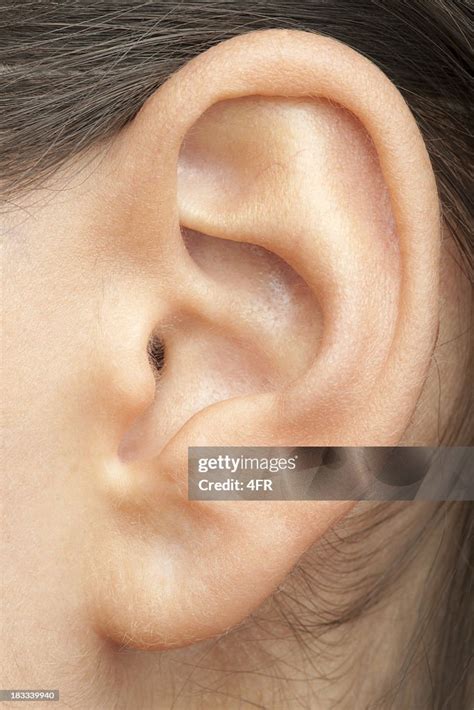 Human Ear High-Res Stock Photo - Getty Images