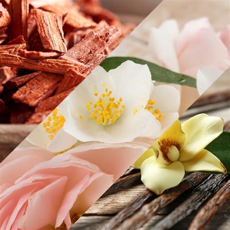 Vanilla Patchouli & Sandalwood Type* – Eroma