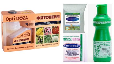 Весенняя обработка сада от болезней и вредителей - Мы на даче