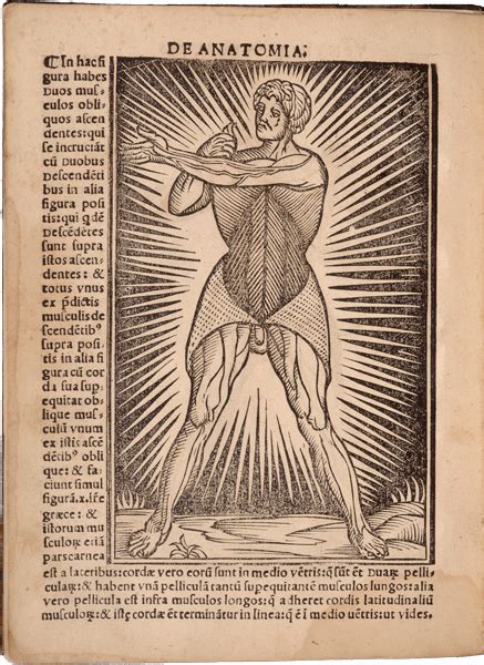 Dream Anatomy: A National Library of Medicine Exhibition