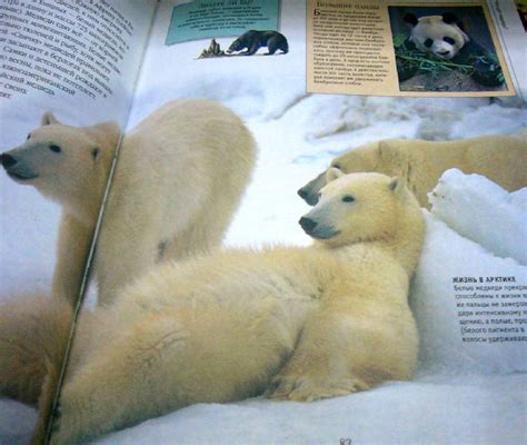 Книга: Большая энциклопедия эрудита - . Купить книгу, читать рецензии ...
