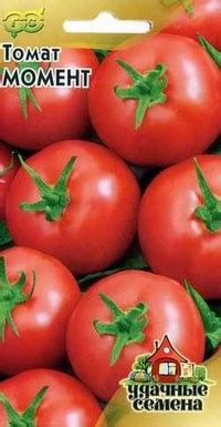Томат Момент: описание сорта, ОТЗЫВЫ, фото, урожайность | tomatland.ru