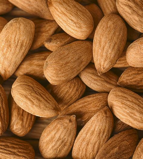 SWEET ALMOND - Golgemma