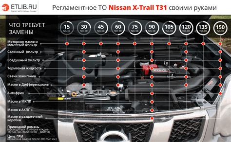 Регламент ТО Ниссан Х Трейл Т31. Техническое обслуживание Nissan X ...
