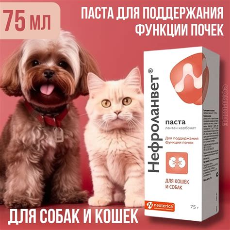 Паста Нефроланвет Для Животных купить на OZON по низкой цене