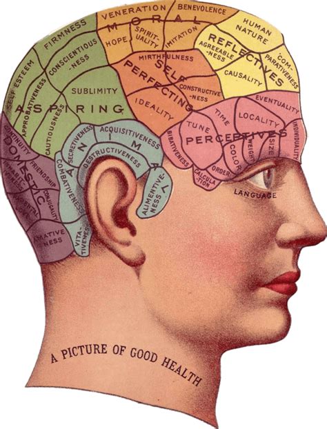 8 Tips To Mastering Your Mental Focus Like A Monk