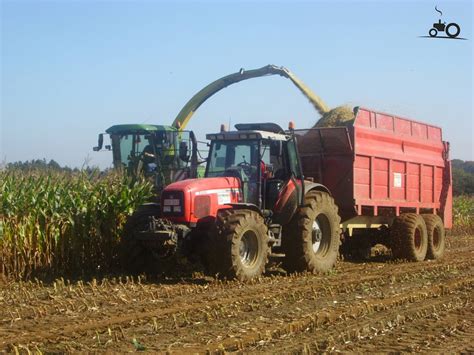 Foto Massey Ferguson 8250 #77318