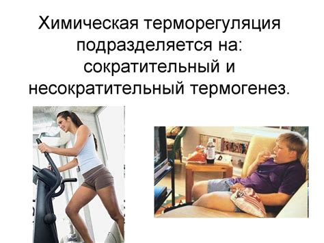 Терморегуляция. Обмен веществ - презентация онлайн