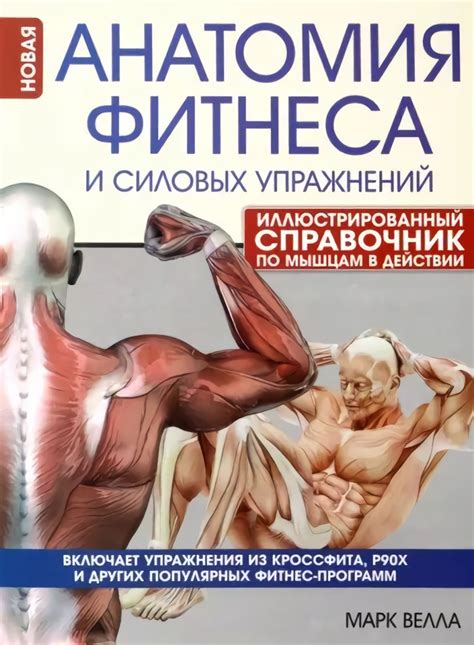 Анатомия фитнеса и силовых упражнений: иллюстрированный справочник по ...