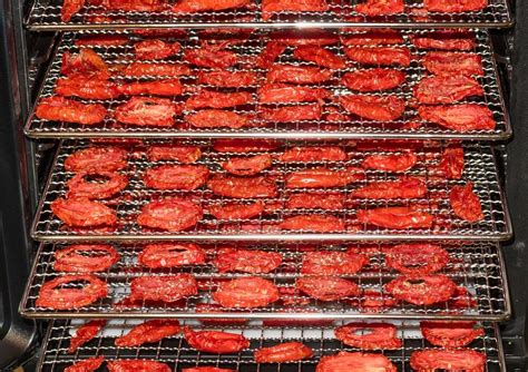 Как выбрать дегидратор для сушки продуктов - их разновидности и ...