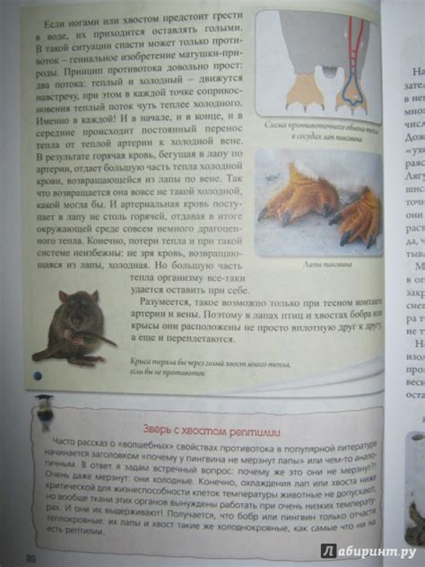 Книга: Нескучная биология с задачами и решениями - Петр Волцит. Купить ...