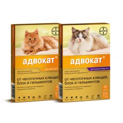 Стронгхолд для кошек инструкция по применению цена отзывы аналоги