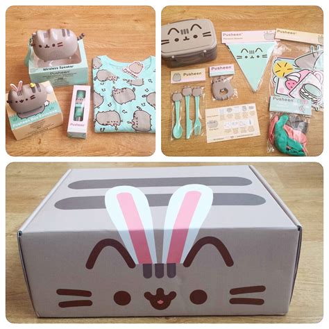 SPRING PUSHEEN BOX 2017 | Pusheenbox de primavera. | Flickr