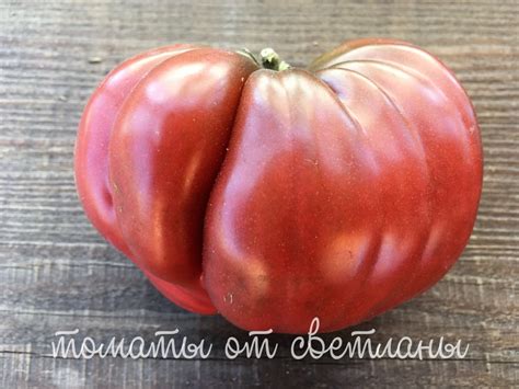 Фиолетовое/Пурпурное Сердце (ПРОЕКТ "DWARF TOMATO") - семена томатов