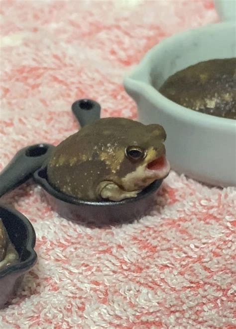 【楽天市場】ラグ 洗える ラグマット滑り止め 幾何学 西海岸 カーペット 1年中使えるタイプ 部屋 北欧 マイクロファイバー居間絨毯 ...