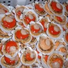 Морской гребешок, под заказ. Цена: 500₽ во Владивостоке