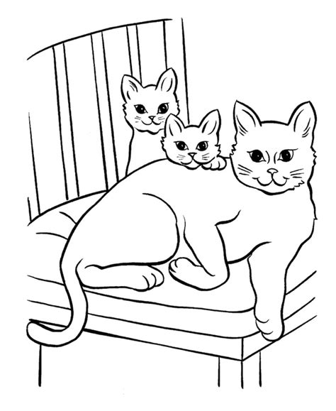 85 раскрасок с кошками и котятами