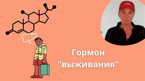 Гормоны сна | Кортизол | Часть 4 - YouTube