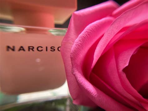 Narciso Poudree Narciso Rodriguez аромат — аромат для женщин 2016