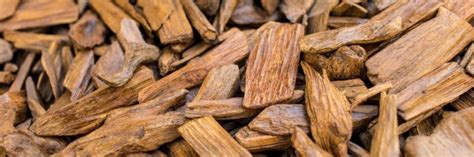 What is Oud and What Makes it Special? - The Scent Blog | Amir Oud ...